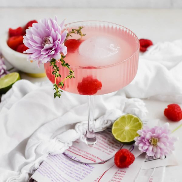 Hibiscus Cocktail - A Paige of Positivity
