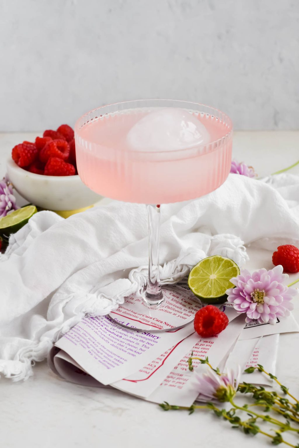Hibiscus Cocktail - A Paige of Positivity
